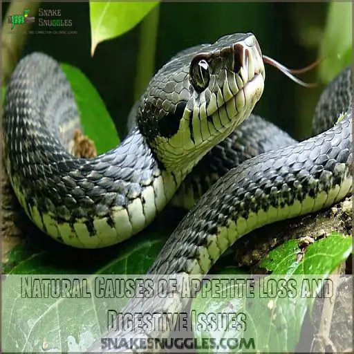Improving Snake Digestion Naturally: 10 Expert Tips for Healthier Reptiles