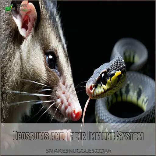 What Animals Are Immune to Snake Venom? Nature's Top Survivors!