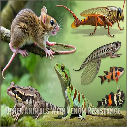 What Animals Are Immune to Snake Venom? Nature's Top Survivors!