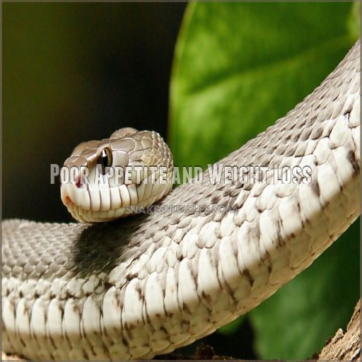 How to Identify Snake Parasites: Warning Signs & Treatment Guide ...