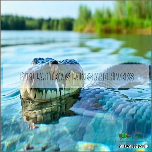 Water Snakes in Texas: Identification, Safety Tips, & More