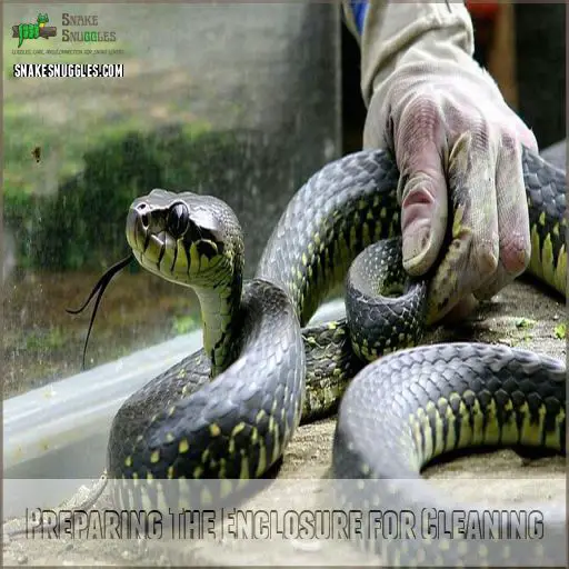 Snake Enclosure Cleanliness: Pro Tips for a Healthy Habitat Now!