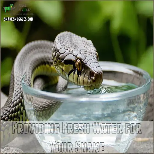 Snake Feeding Schedule: The Complete Guide