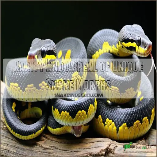 Snake Morphs: Popular Python Colors, Patterns & Rare Combinations