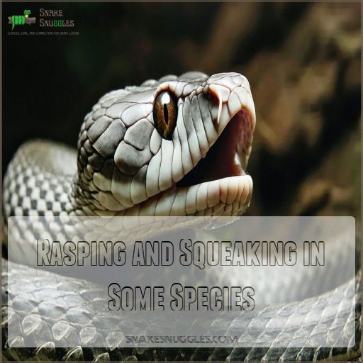 Snake Hissing: Secrets & Sounds Revealed