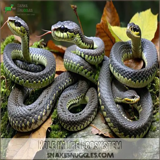 These 5 Snakes Look Like Copperheads: Shocking Look-Alikes!