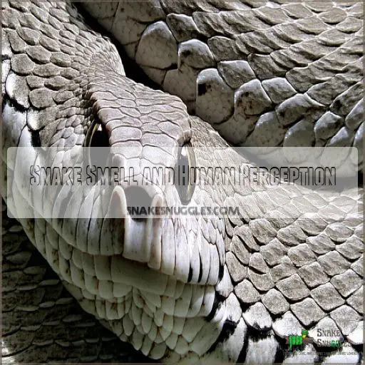 Why Do Snakes Smell Like Urine or Rotten Eggs? The Secrets Revealed