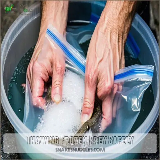 Ball Python Feeding Guide: Chart, Tips, Schedule, and Diet Explained