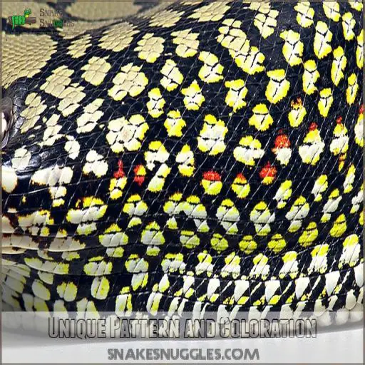 Reticulated Python: Earth's Longest Snake | Monster of Southeast Asia