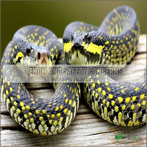 Hognose Snake Morphs: Stunning Patterns & Colors Explored