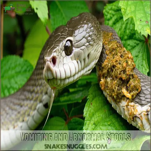 How to Identify Snake Parasites: Warning Signs & Treatment Guide ...