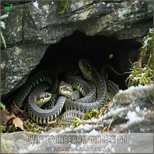 How to Find a Rattlesnake Den: 5 Hair-Raising Secrets!