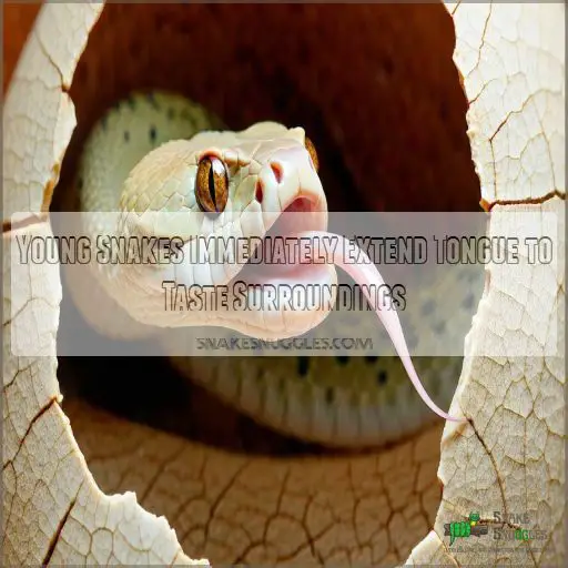 How Do Snakes Lay Eggs? The Surprising Truth About Snake Birth Revealed