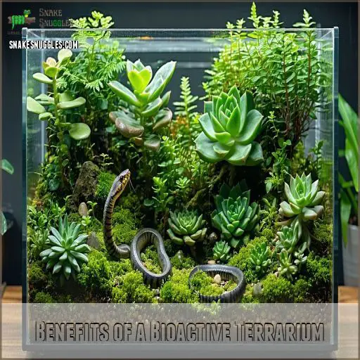 Creating a Natural Snake Habitat: Transform Your Pet's Home Into ...