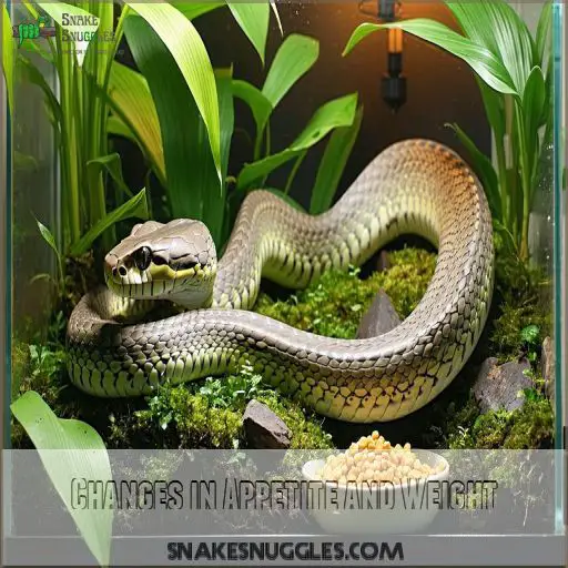 Corn Snake Health Issues: Warning Signs and Vital Care Tips