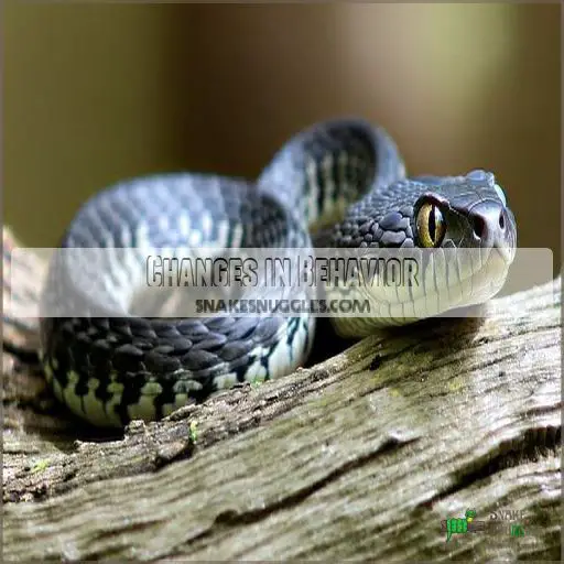 Common Snake Diseases and Treatments: How to Spot and Fix Health Issues