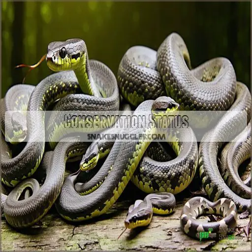 Snake Breeds With Unique Patterns: Top 10 Stunning Species in 2024!