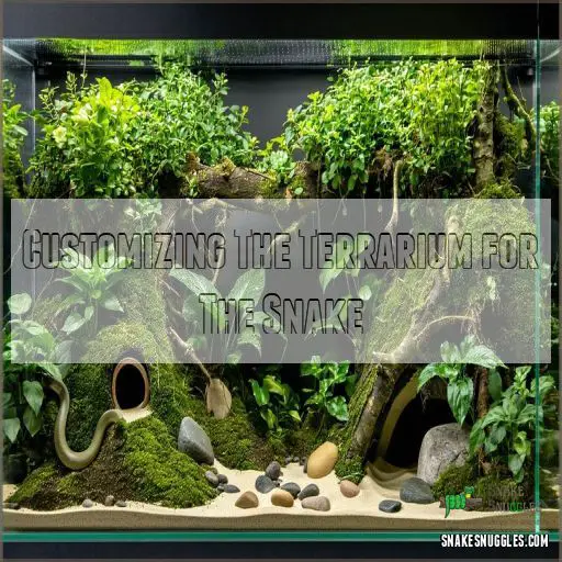 Creating a Natural Snake Habitat: Transform Your Pet's Home Into ...