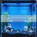 Easy to Clean Snake Habitats: Top Tips for Low-Maintenance Setups