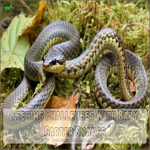 What Do Baby Garter Snakes Eat? Proper Diet and Feeding Guide for Young ...