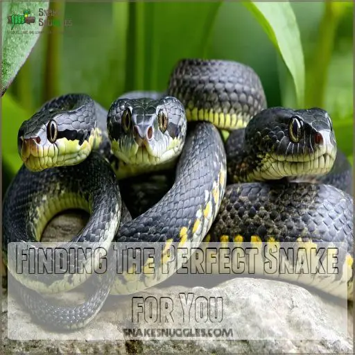 Most Docile Snake Breeds: 5 Friendly Pets for Beginners!