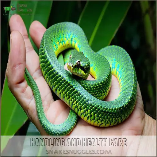 Snake Care Basics: Top Tips to Keep Your Pet Happy & Healthy in 2024