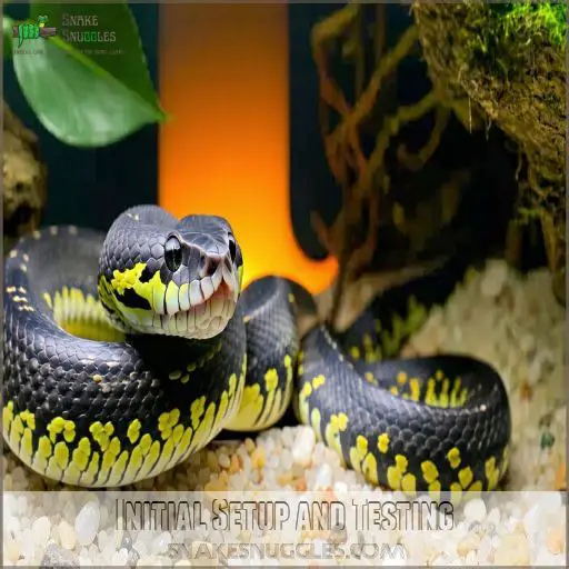 Ball Python Heat Source Options: is Your Snake's Tank Too Cold?