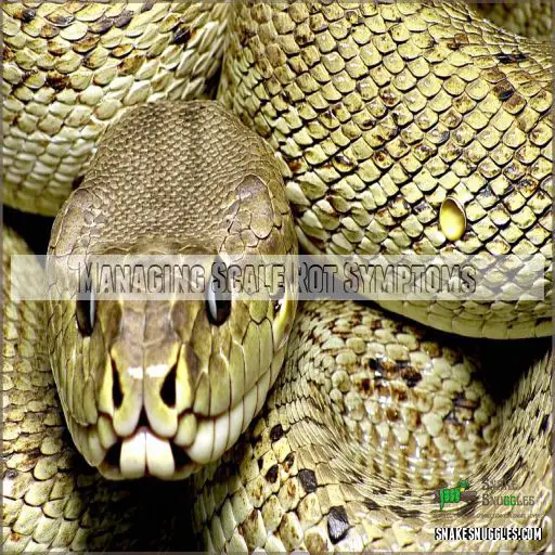 Treating Scale Rot in Pet Snakes: 7 Expert Solutions That Actually Work