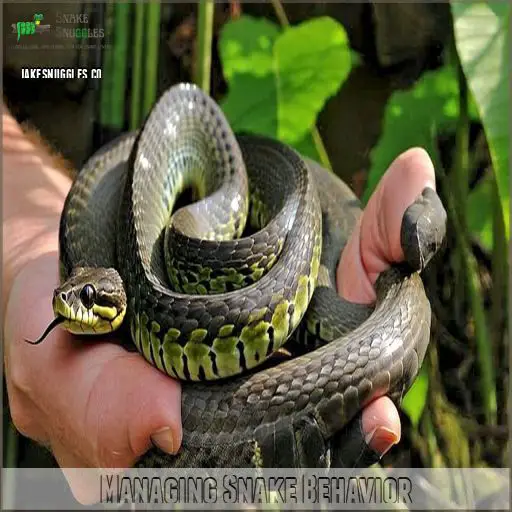 Ethical Snake Handling: Mastering Safety and Conservation Secrets!