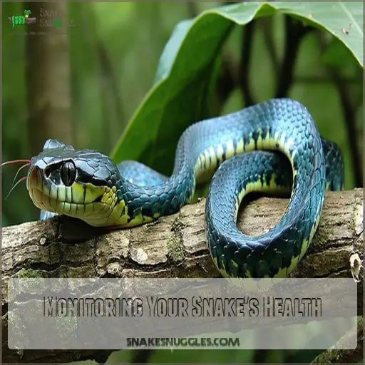 Snake Feeding Guide: Beginner's Secrets to Happy, Healthy Pet Snakes