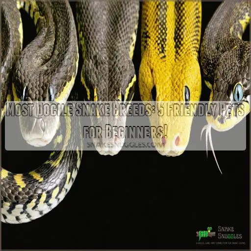 Most Docile Snake Breeds: 5 Friendly Pets for Beginners!