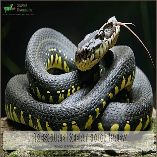 Boa Constrictor Bite Force: Shocking Truth About Pain and Power