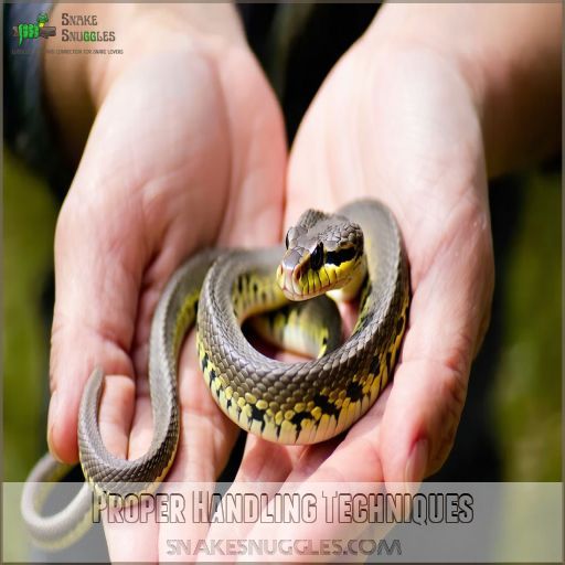 Corn Snake Temperament: Why They Make Perfect Gentle Pets!