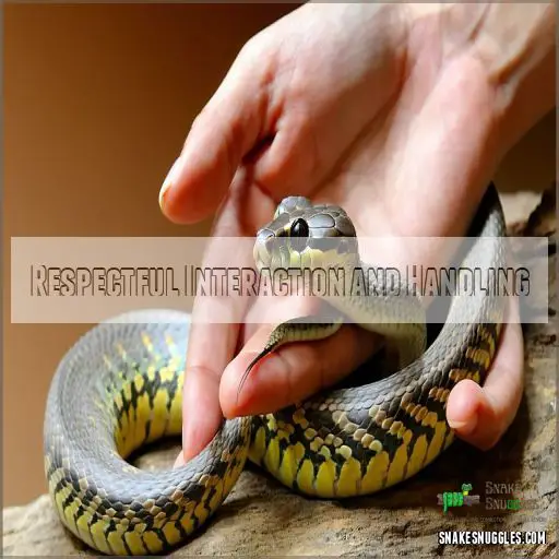 Understanding Snake Body Language: 10 Secret Signs Your Pet is Trying ...