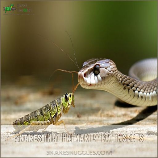 What Snakes Eat Insects? Types, Diets & Fascinating Facts Explained