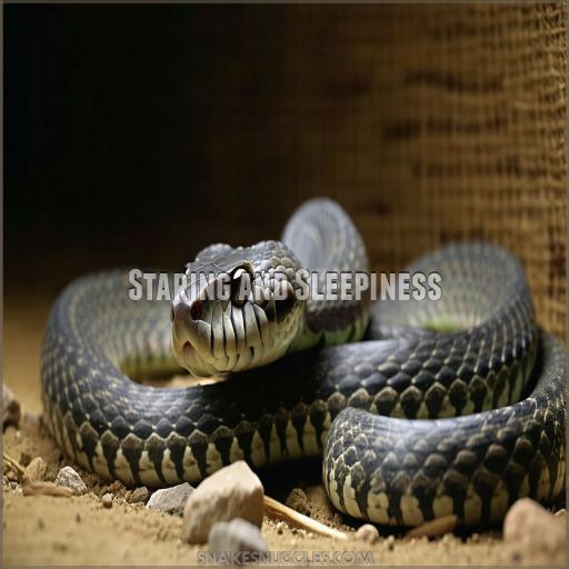 Understanding Snake Body Language: 10 Secret Signs Your Pet is Trying ...