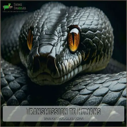 Common Snake Diseases and Treatments: How to Spot and Fix Health Issues