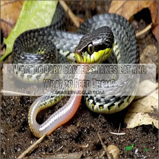 What Do Baby Garter Snakes Eat? Proper Diet and Feeding Guide for Young ...
