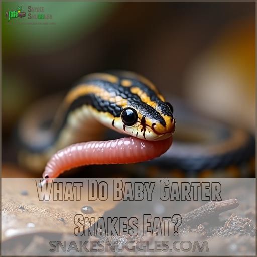 What Do Baby Garter Snakes Eat? Proper Diet and Feeding Guide for Young ...