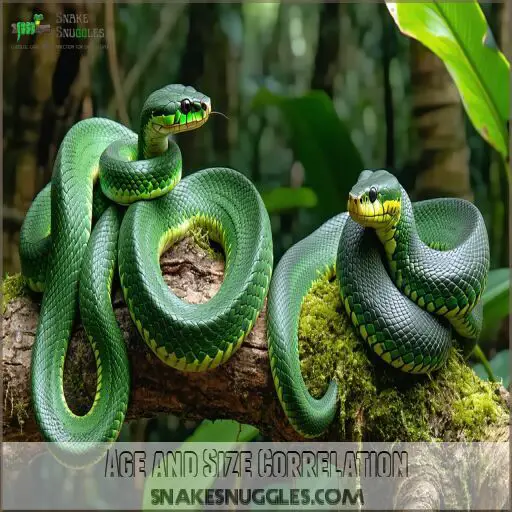 Boa Constrictor Growth Rate Chart: Size, Age, and Factors Explained