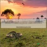 Ball Python Natural Habitat: Secrets of African Serpent Survival!