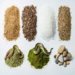 Choosing The Right Substrate for Snake Health: Top 7 Safe Options
