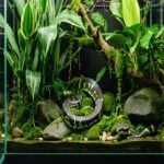 Safe Plants for Ball Python Vivarium: Top Non-Toxic Choices for Your Pet