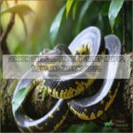 Common Genetic Mutations in Snakes: Morphs, Traits, and Breeding Basics