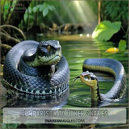 Cottonmouth Snakes: Shocking Venom Facts & Bite Survival Guide!