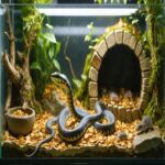 Corn Snake Care Tips: Expert Guide for Feeding, Habitat, and Handling