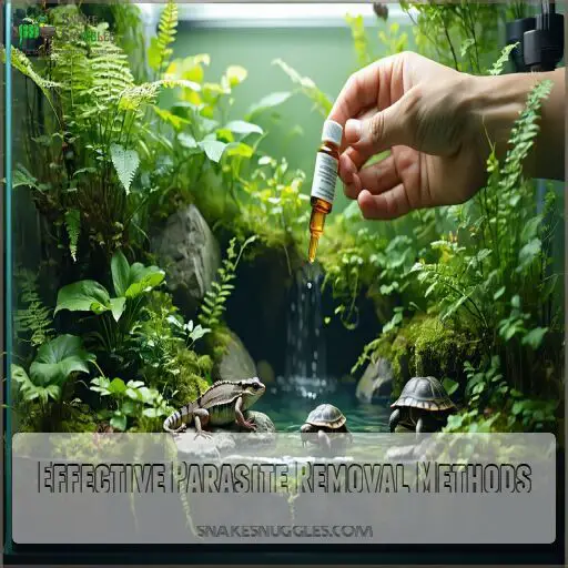 Reptile Parasite Control Methods: Tips to Keep Your Pets Healthy