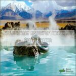 Tibetan Hot Spring Snake: Survival Secrets of Earth's Most Bizarre Reptile