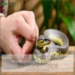Children's Python Care: Tips for Housing, Feeding & Keeping Them Healthy