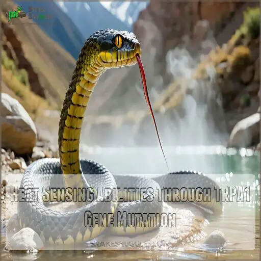 Tibetan Hot Spring Snake: Survival Secrets of Earth's Most Bizarre Reptile